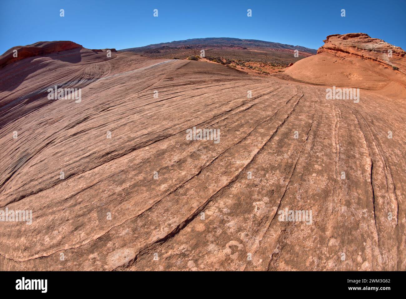 A wavy sandstone hill, which is a fossilized sand dune, at Ferry Swale ...