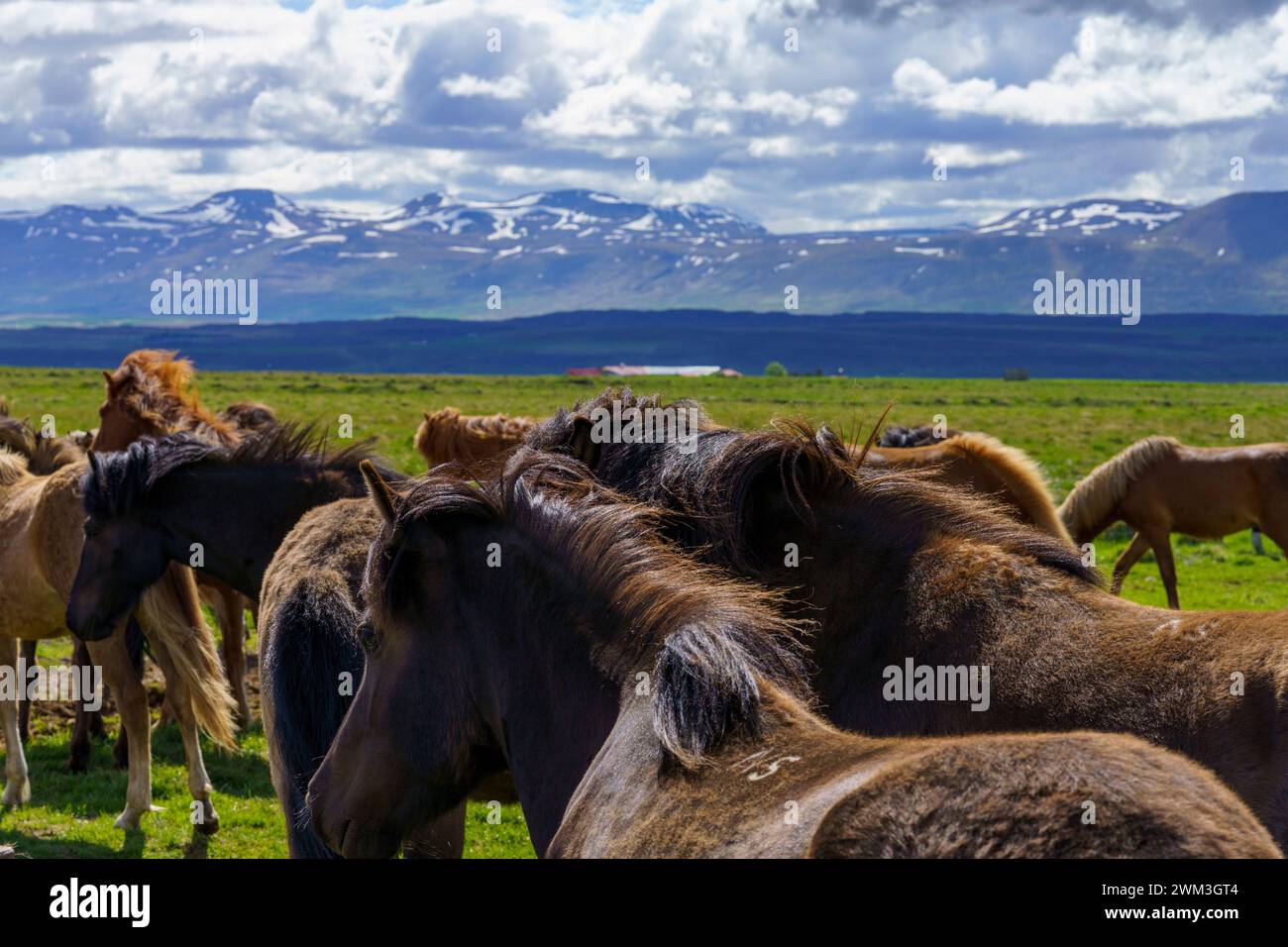 Beautiful icelandic landscape hi-res stock photography and images - Alamy
