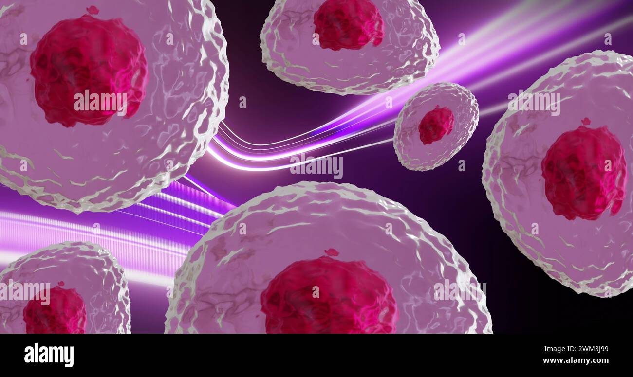 Image of micro of red and pink cells over purple light trails ...