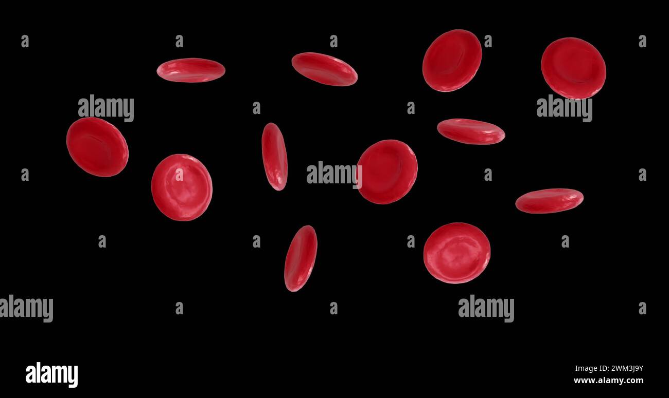 Image of micro of red blood cells on black background Stock Photo - Alamy