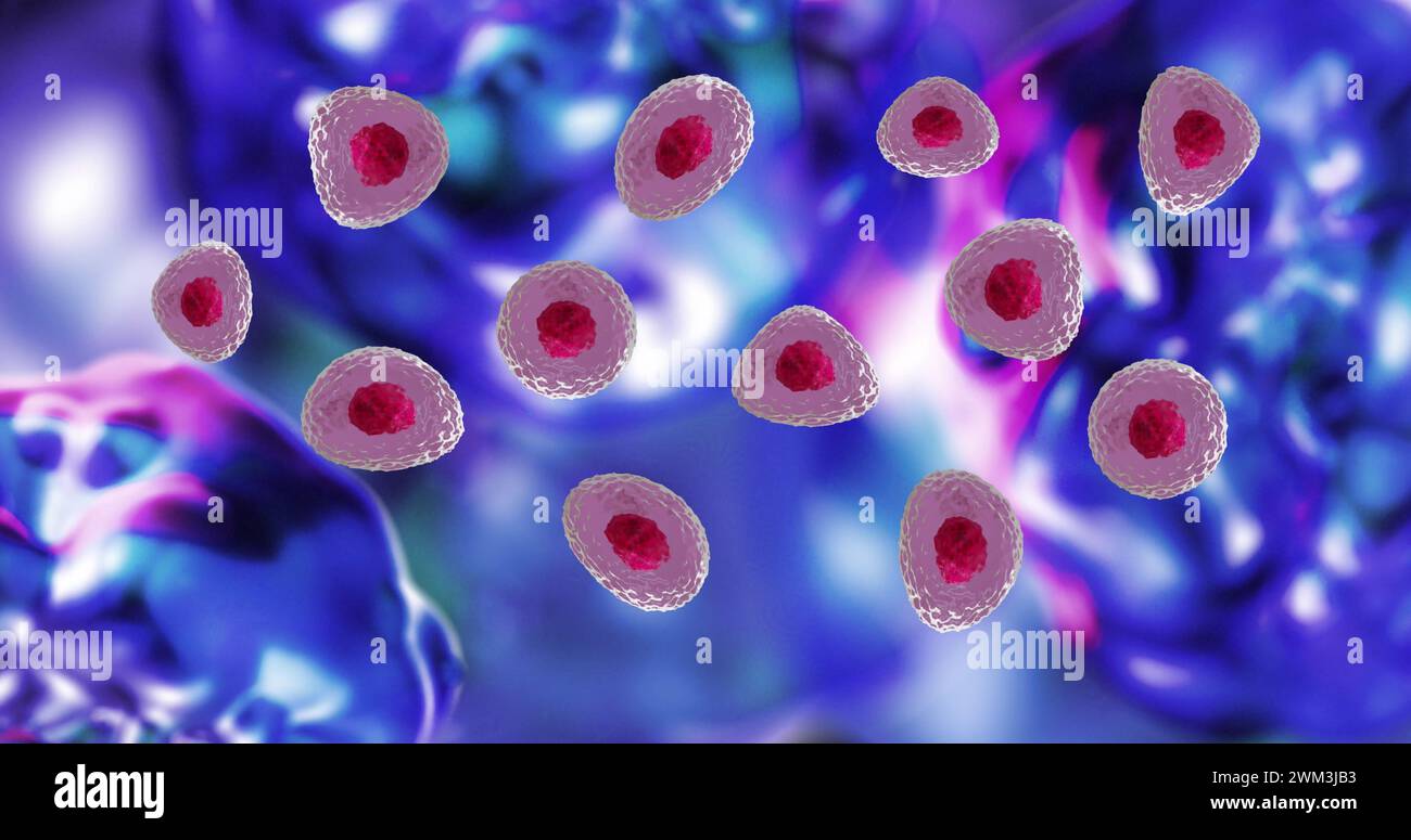 Image of micro of red and pink cells over pink and blue background ...