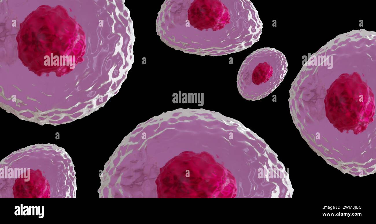 Image of micro of red and pink cells on black background Stock Photo ...