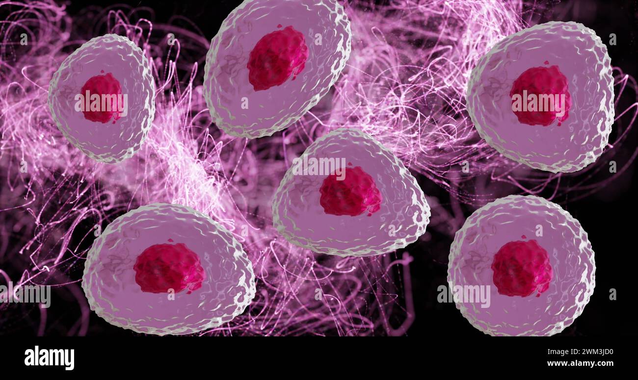 Light microscope image hi-res stock photography and images - Alamy
