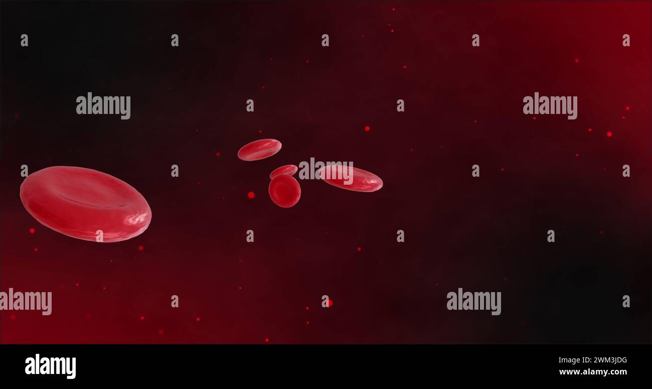 Image of micro of red blood cells on black background Stock Photo - Alamy