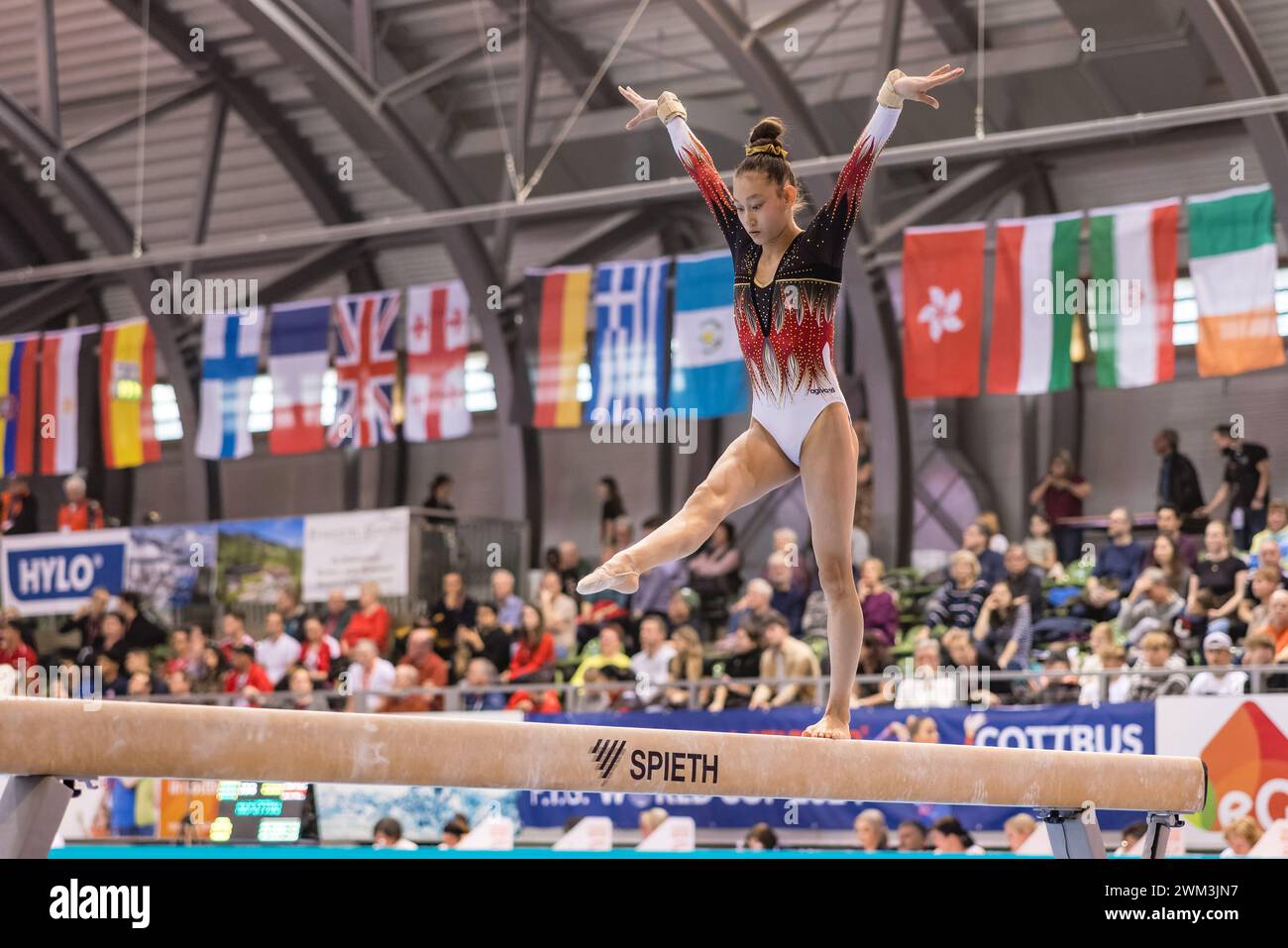 Erika pinxten hi-res stock photography and images - Alamy
