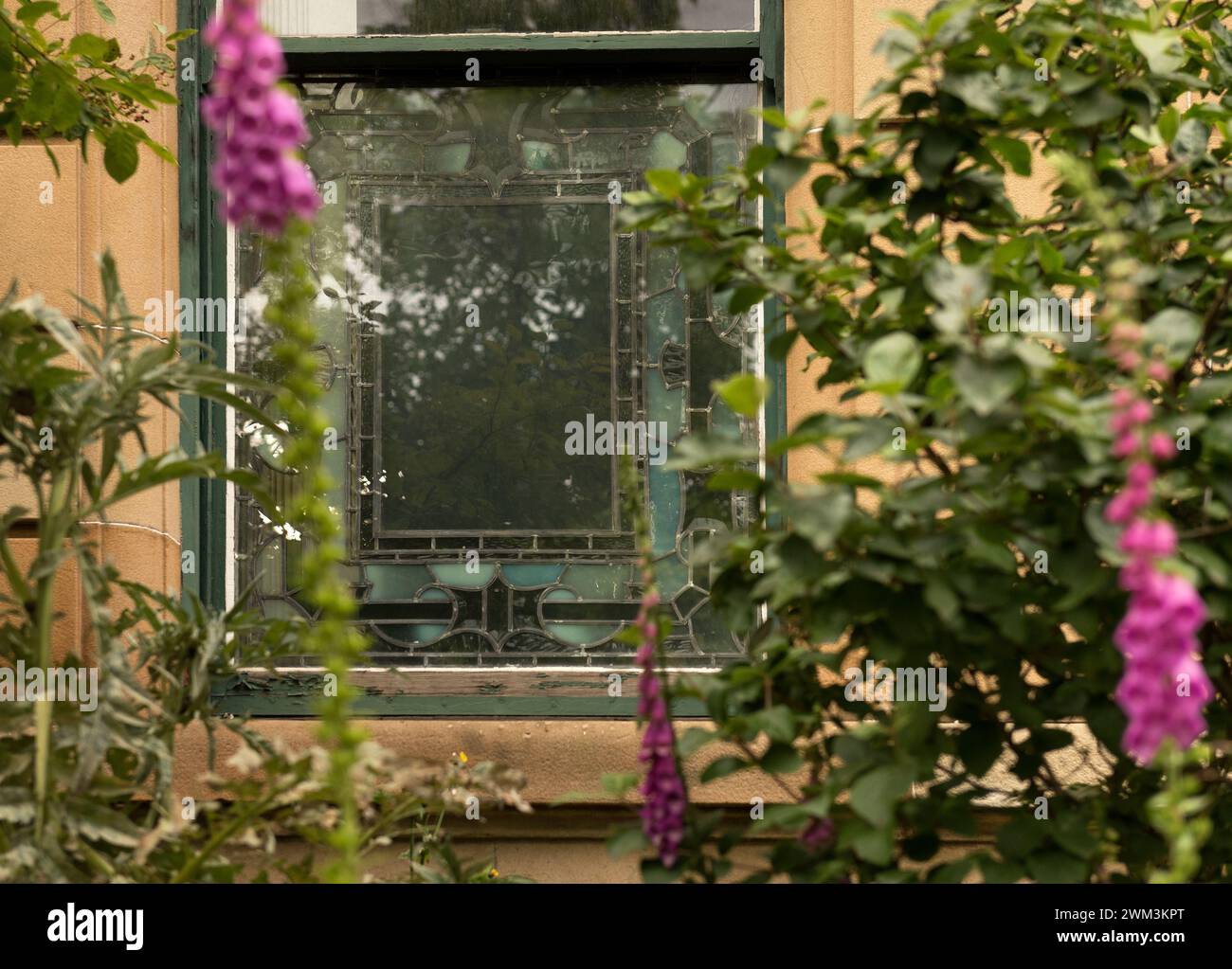 Mackintosh windows and architectural details of the University of ...
