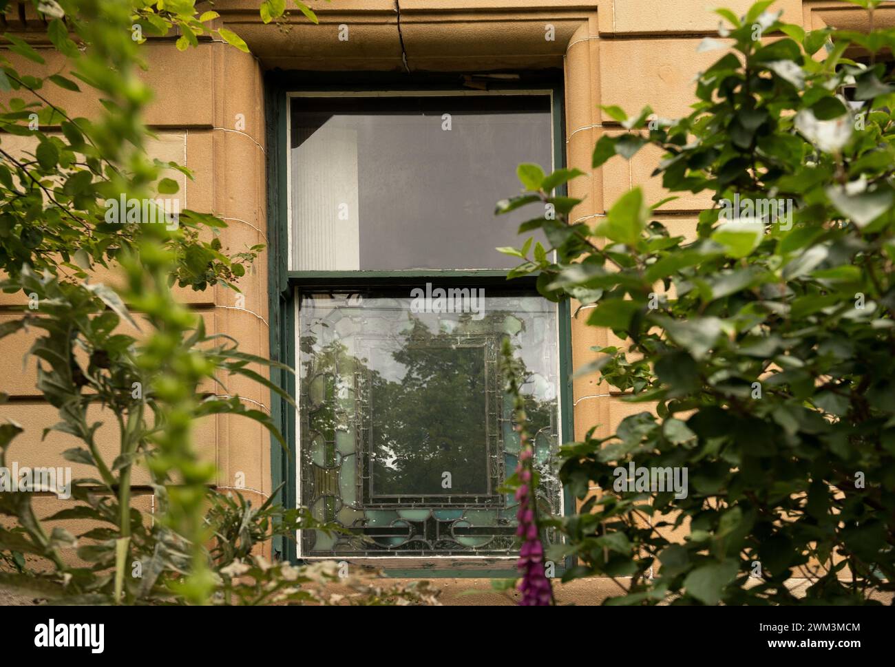 Mackintosh windows and architectural details of the University of ...