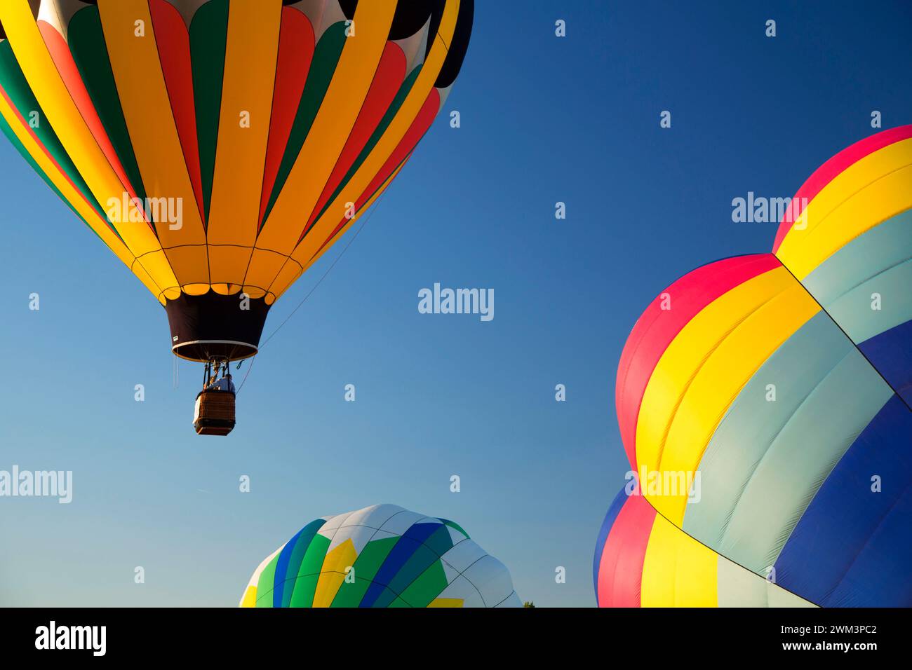Hot air balloon, Northwest Art and Air Festival, Timber Linn Park ...