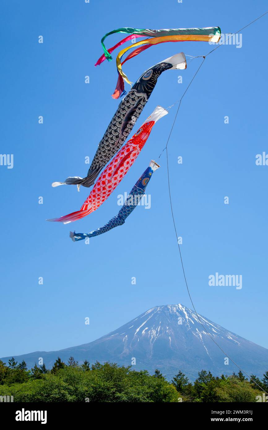 Colourful Koinobori Carp Kites against a clear blue sky at the Asagiri ...