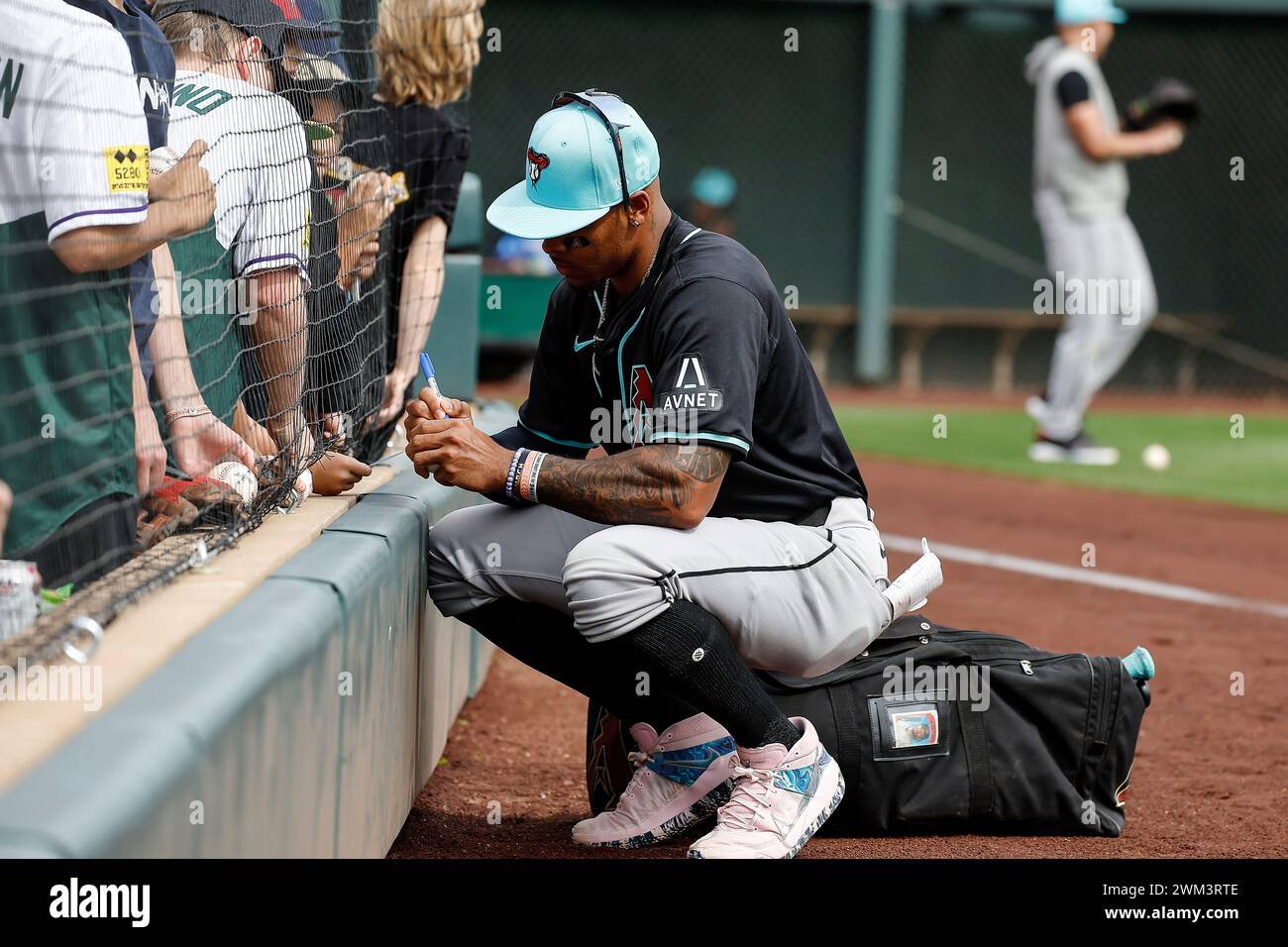 SCOTTSDALE, AZ - FEBRUARY 23: Arizona Diamondbacks catcher Tucker ...
