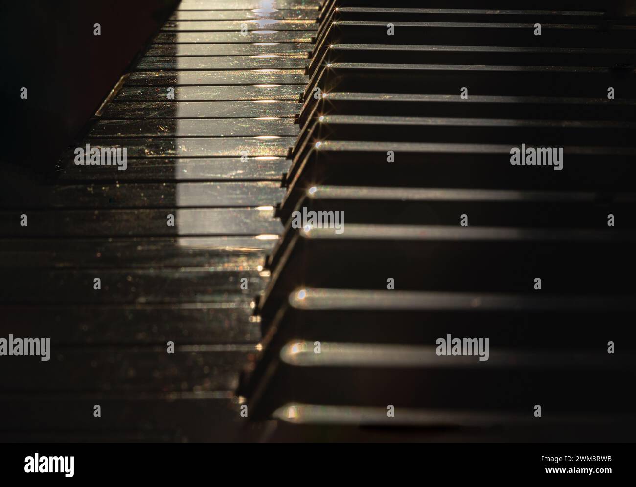 Piano keys side view with shallow depth of field. Classic grand piano ...