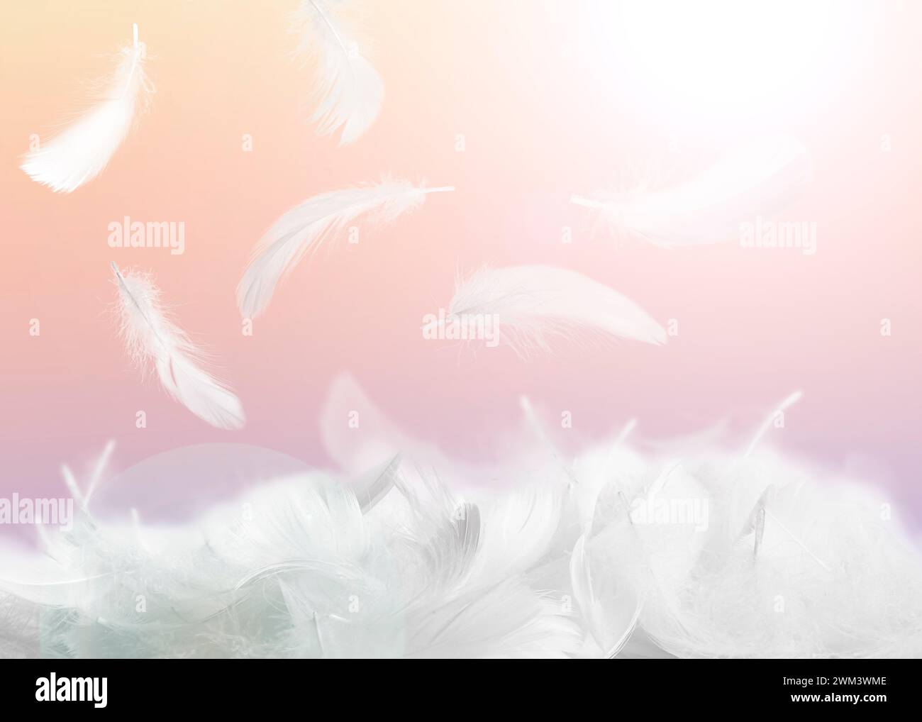 Dove bird collage element hi-res stock photography and images - Alamy