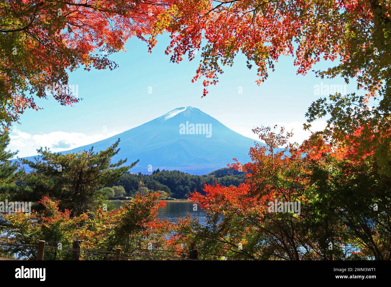 View of Mt. Fuji and Lake Kawaguchi with autumn colored leaves in Japan Stock Photo - Alamy