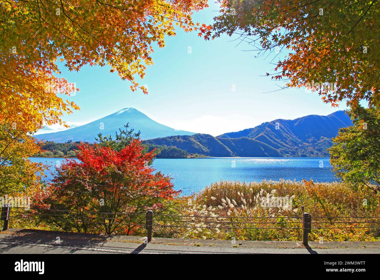 View of Mt. Fuji and Lake Kawaguchi with autumn colored leaves in Japan Stock Photo - Alamy
