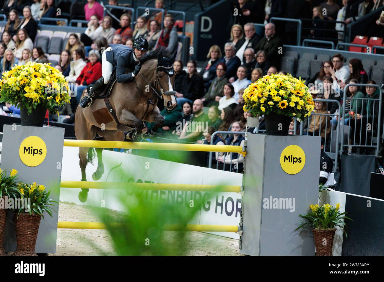 Julien Anquetin of France with Blood Diamond du Pont during the CSI5*-W ...