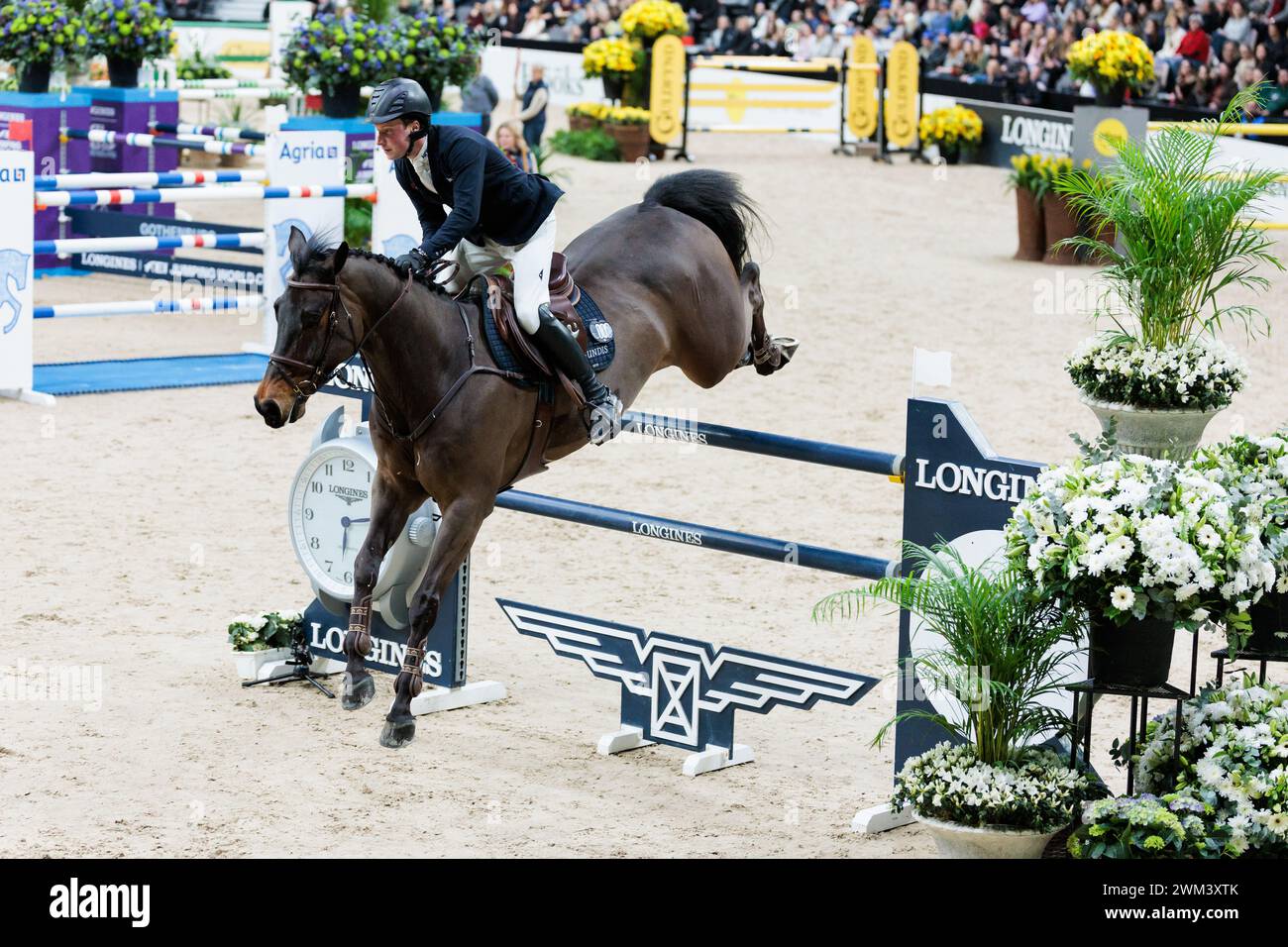 Horse charlies way hi-res stock photography and images - Alamy