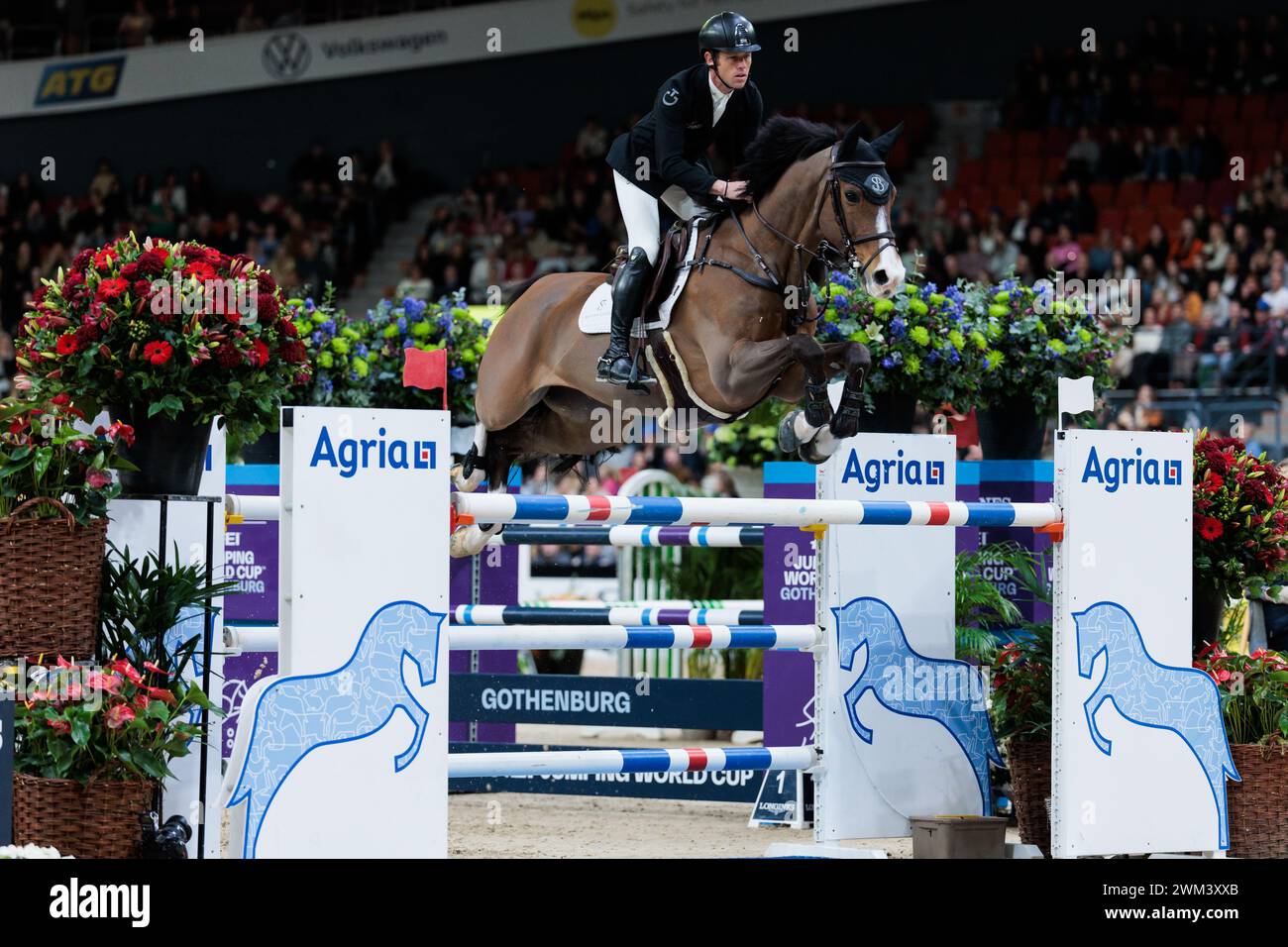 Hello 2024 hi-res stock photography and images - Alamy