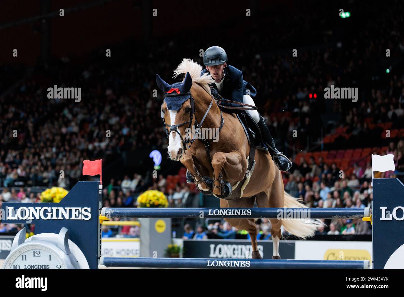 Horse monte blue ps hi-res stock photography and images - Alamy