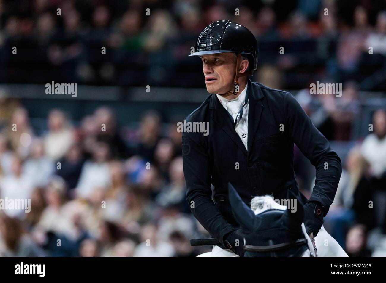 Horse espri du figuier aa hi-res stock photography and images - Alamy