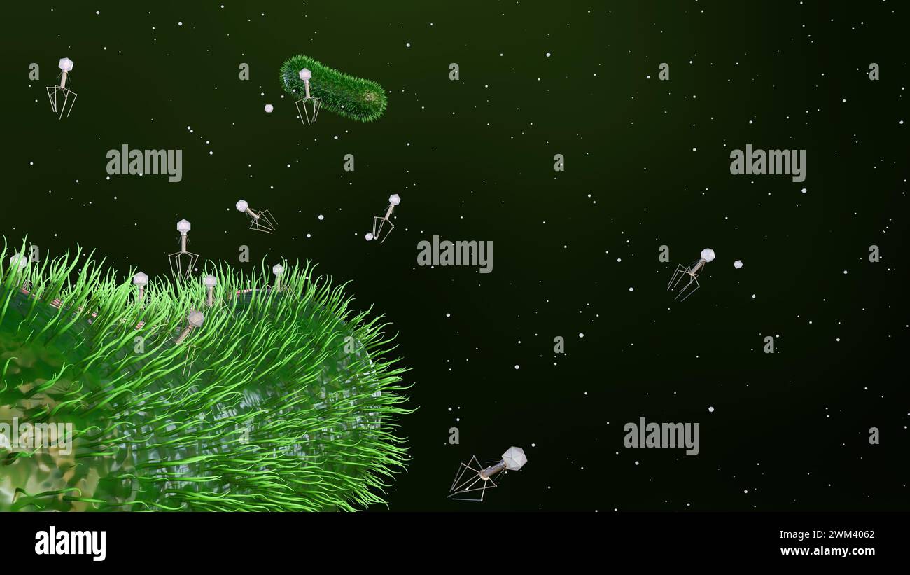 3d rendering of bacteriophages that infect and destroy bacteria Stock ...