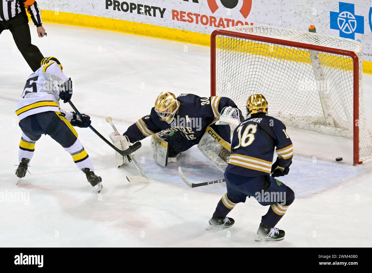 ANN ARBOR, MI - FEBRUARY 23: Michigan Wolverines forward Dylan Duke (25 ...