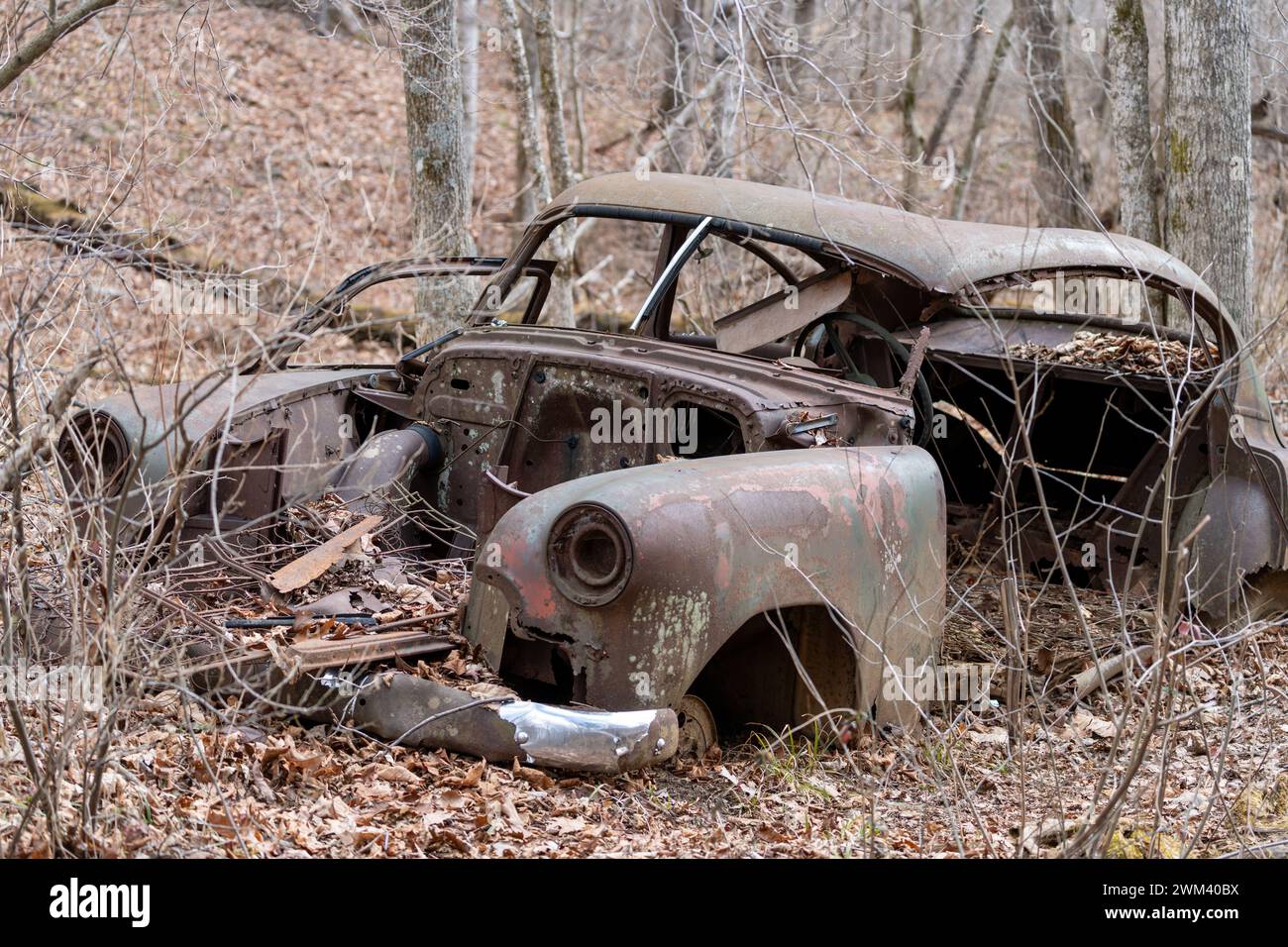 Rusted-out antique car body in the woods. In Augusta Springs, Virginia ...