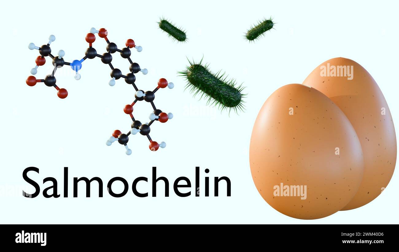 3d rendering of salmochelin molecule, enterobactin produced by ...