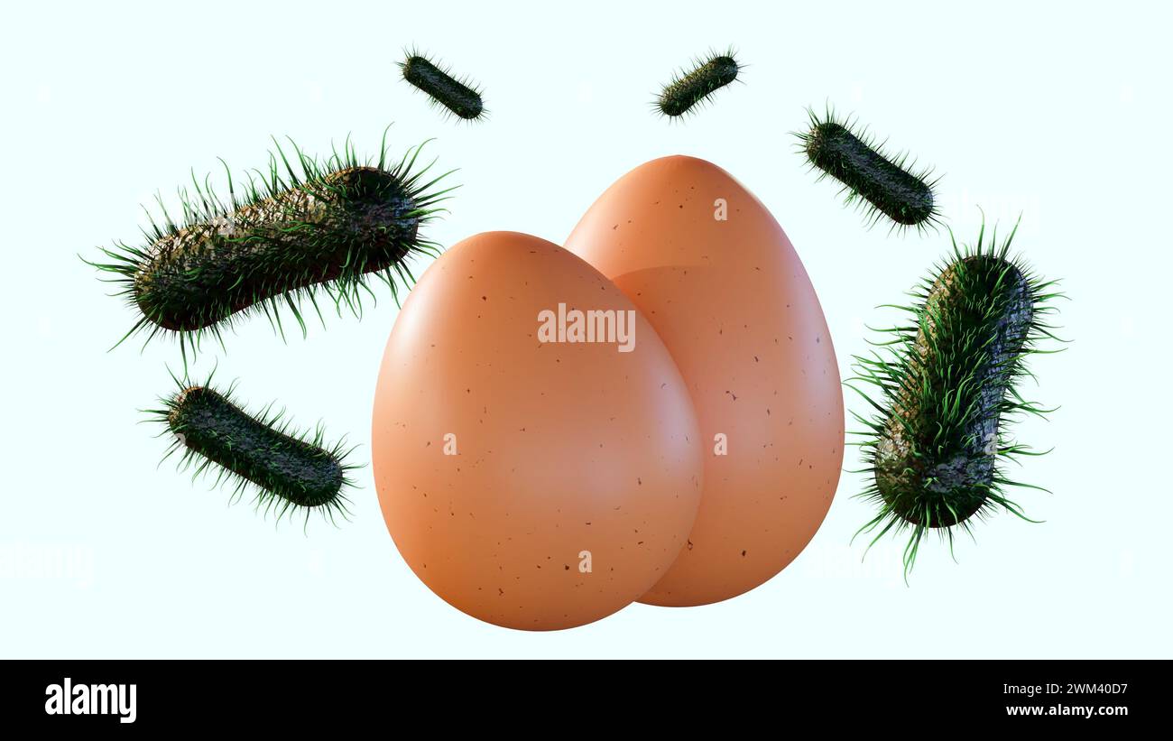 3d Rendering Salmonella And Eggs Salmonella Infects The Ovaries Of Hens Contaminating The Eggs