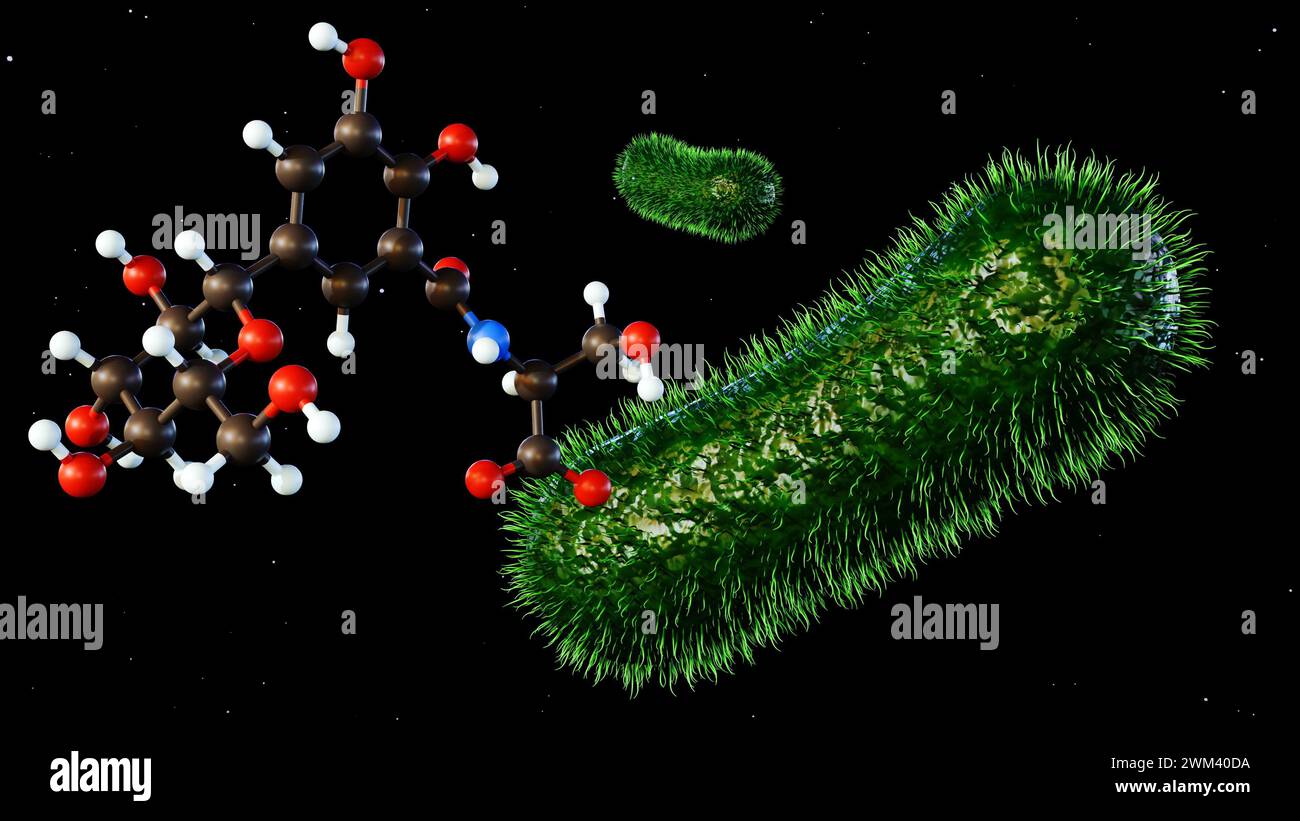 3d rendering of salmochelin molecule, enterobactin produced by ...