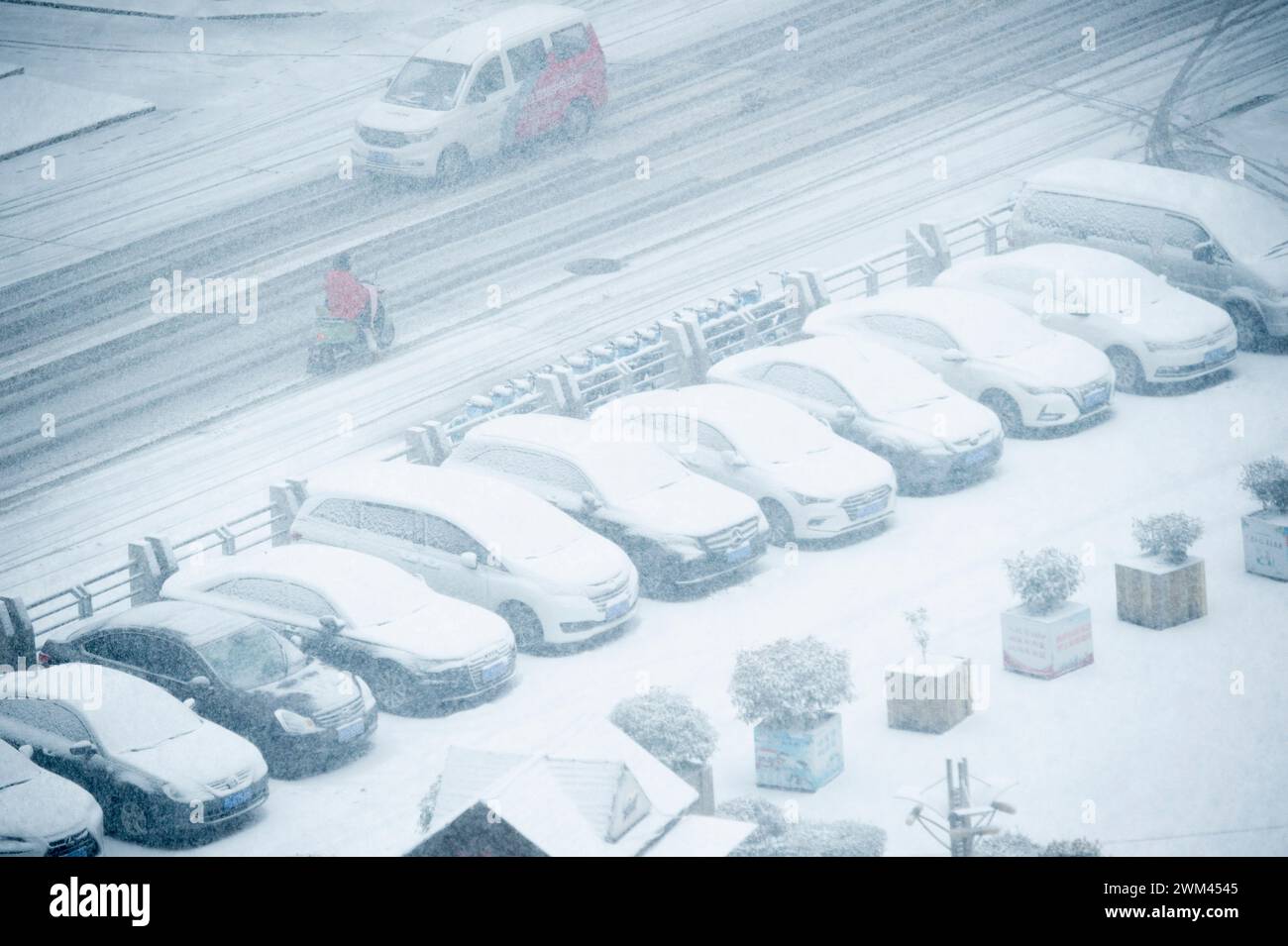 Haian, China. 24th Feb, 2024. HAIAN, CHINA - FEBRUARY 24, 2024 - People ...