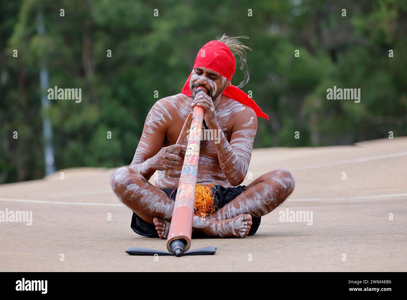 Brisbane, Australia. 24th February 2024. An Aboriginal performance ...