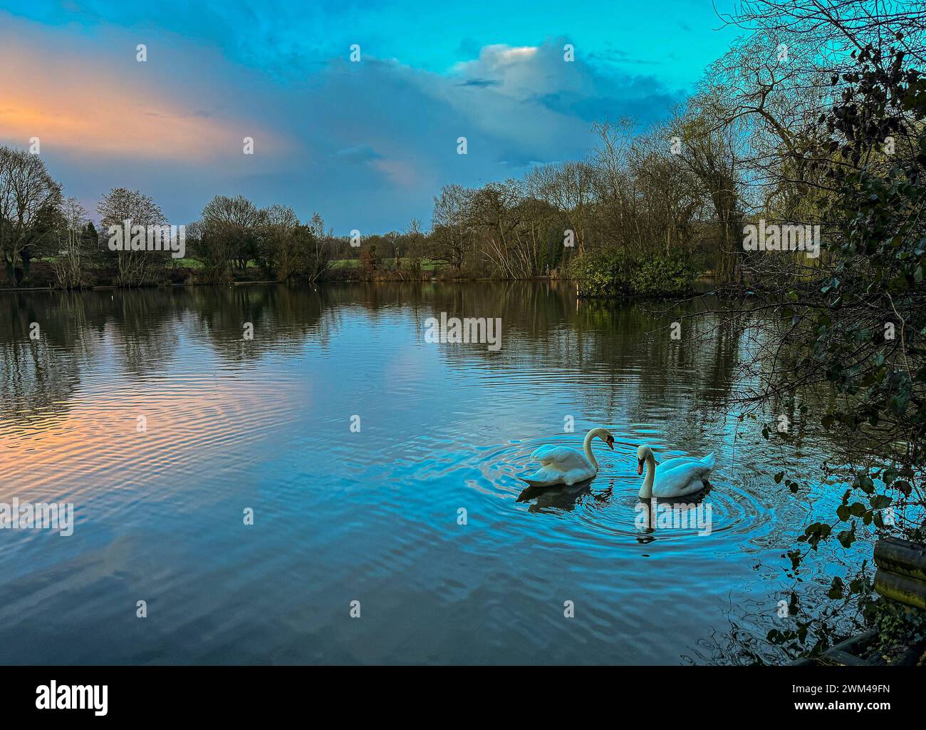 Guildford, UK. 23rd Feb, 2024. Brittens Pond, Worplesdon. 23rd February ...