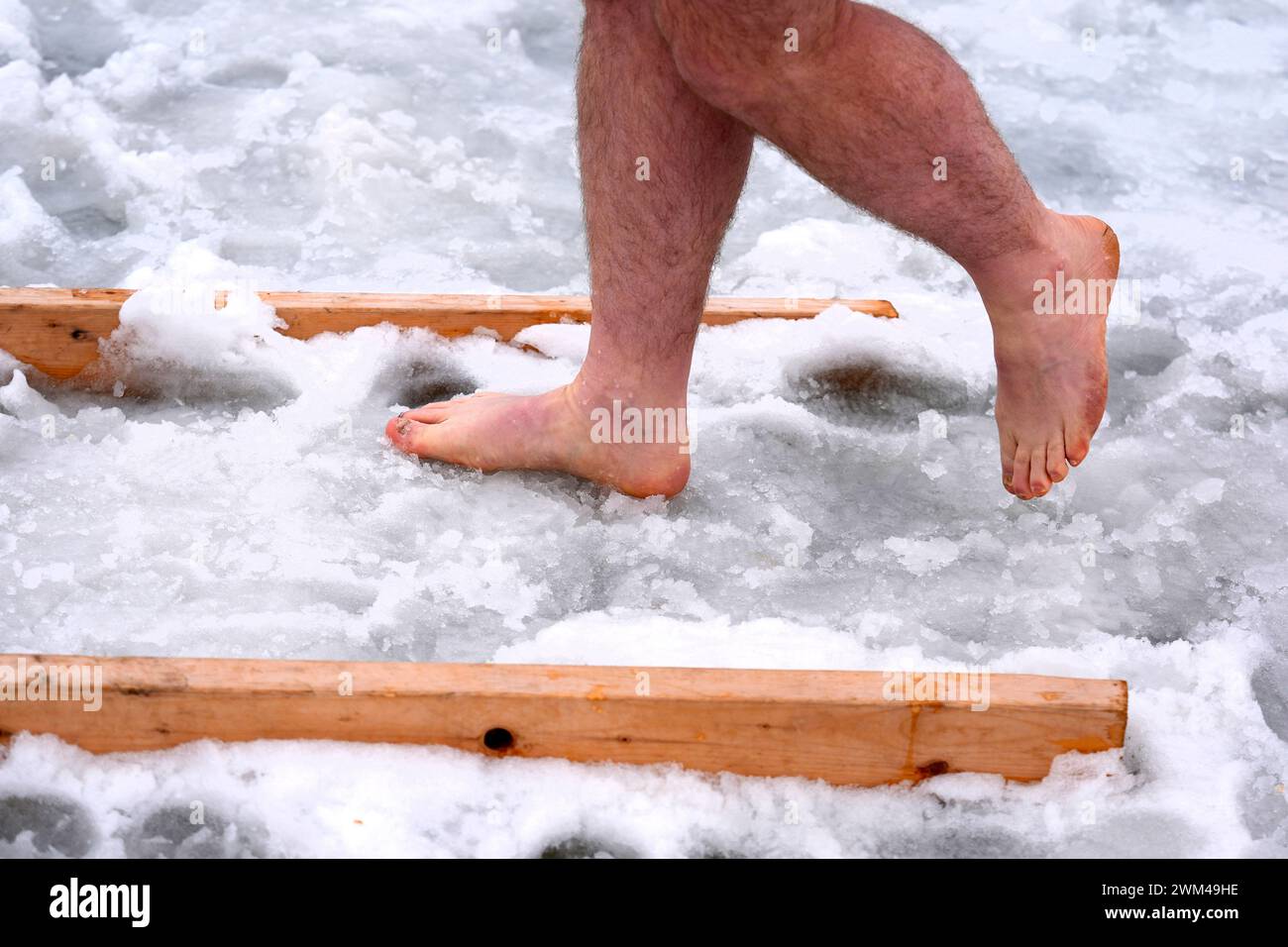 A swimmer walks barefooted through slush while heading across the ice ...