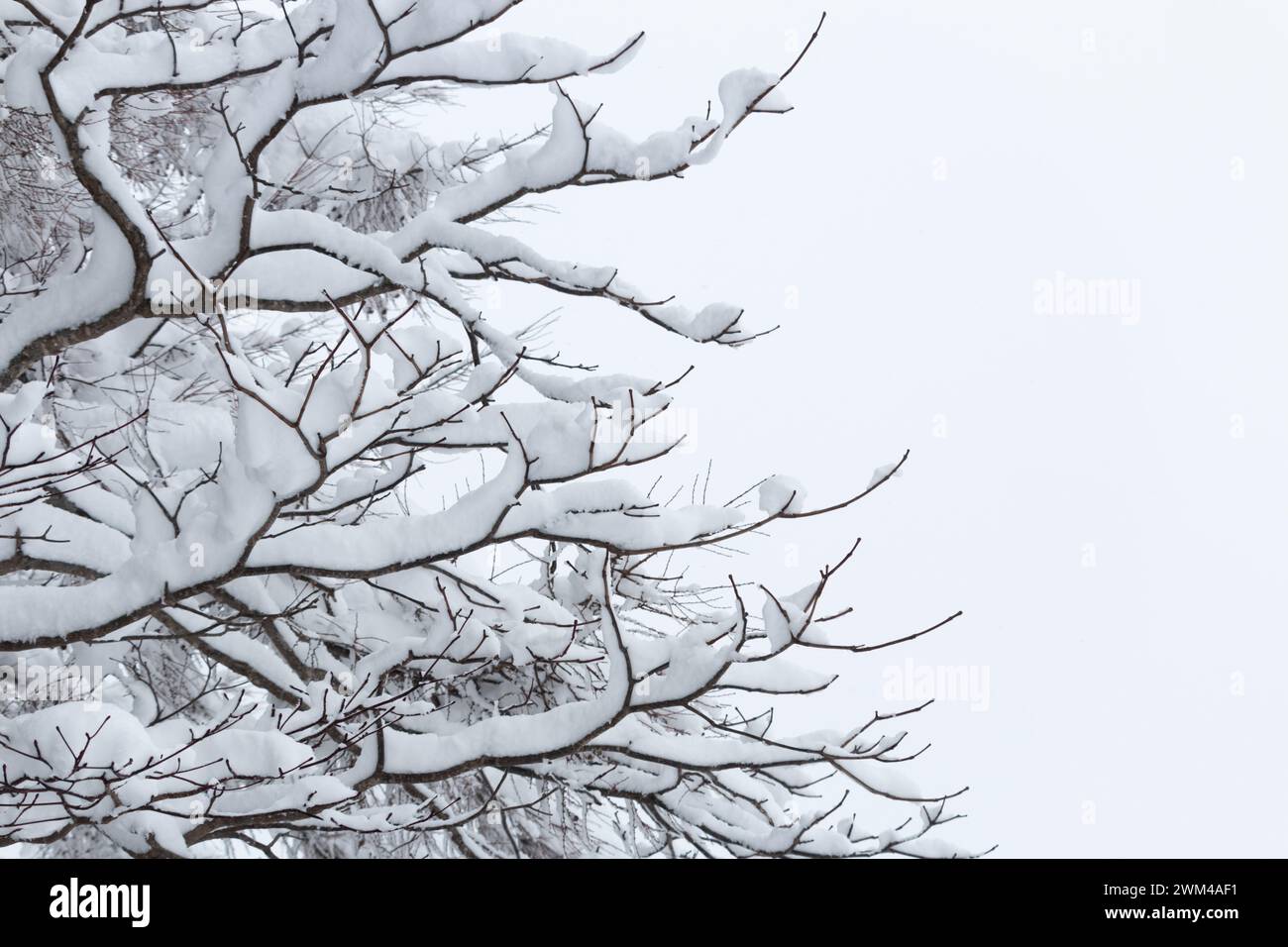 Dark grey sky with snow hi-res stock photography and images - Alamy