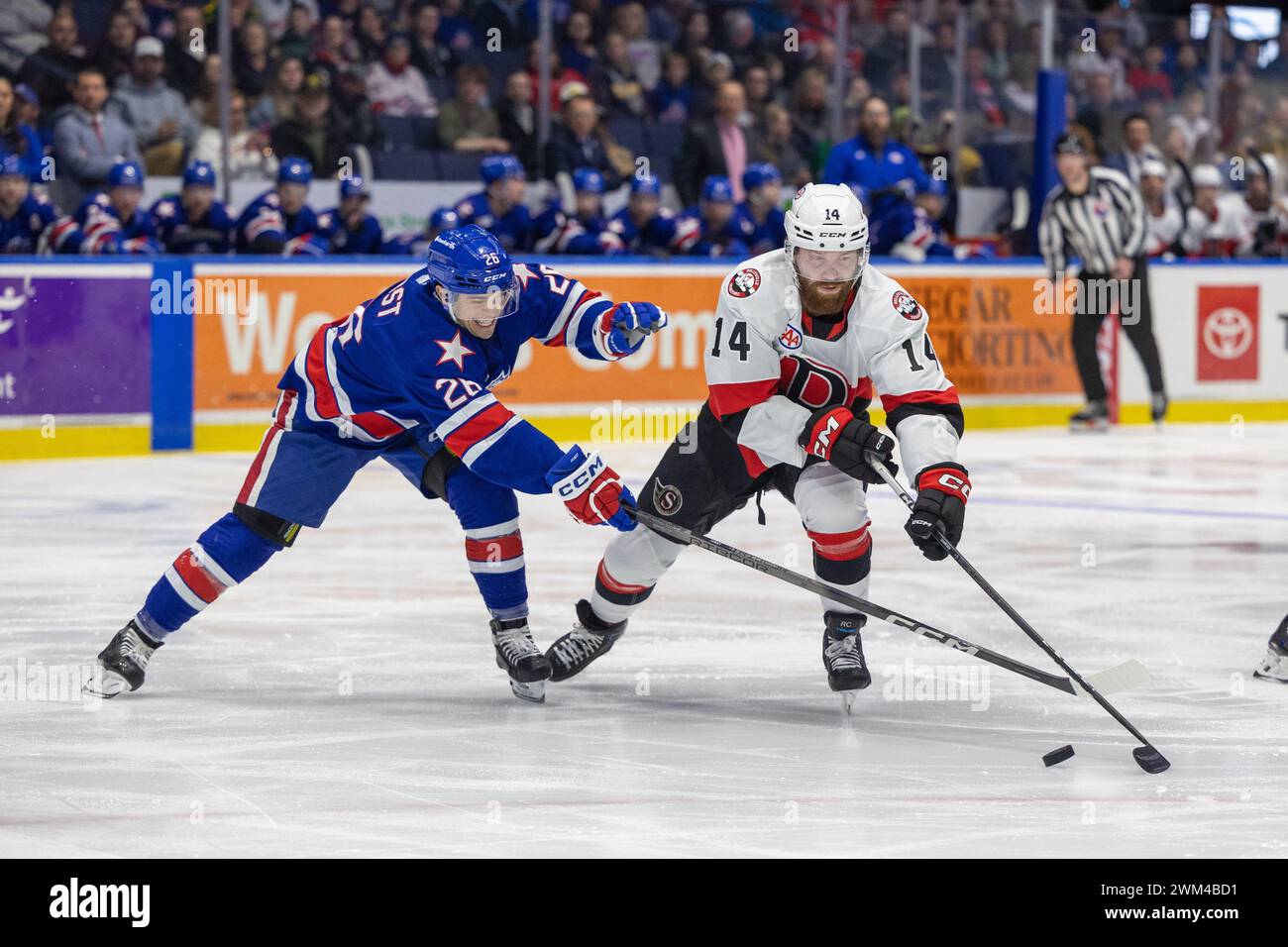February 23rd, 2024: Belleville Senators forward Rourke Chartier (14 ...