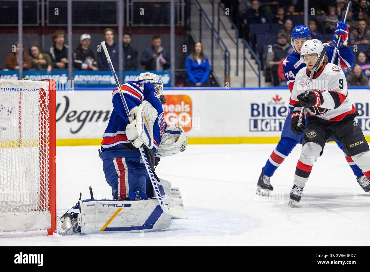 February 23rd, 2024: Rochester Americans goaltender Dustin Tokarski (34 ...