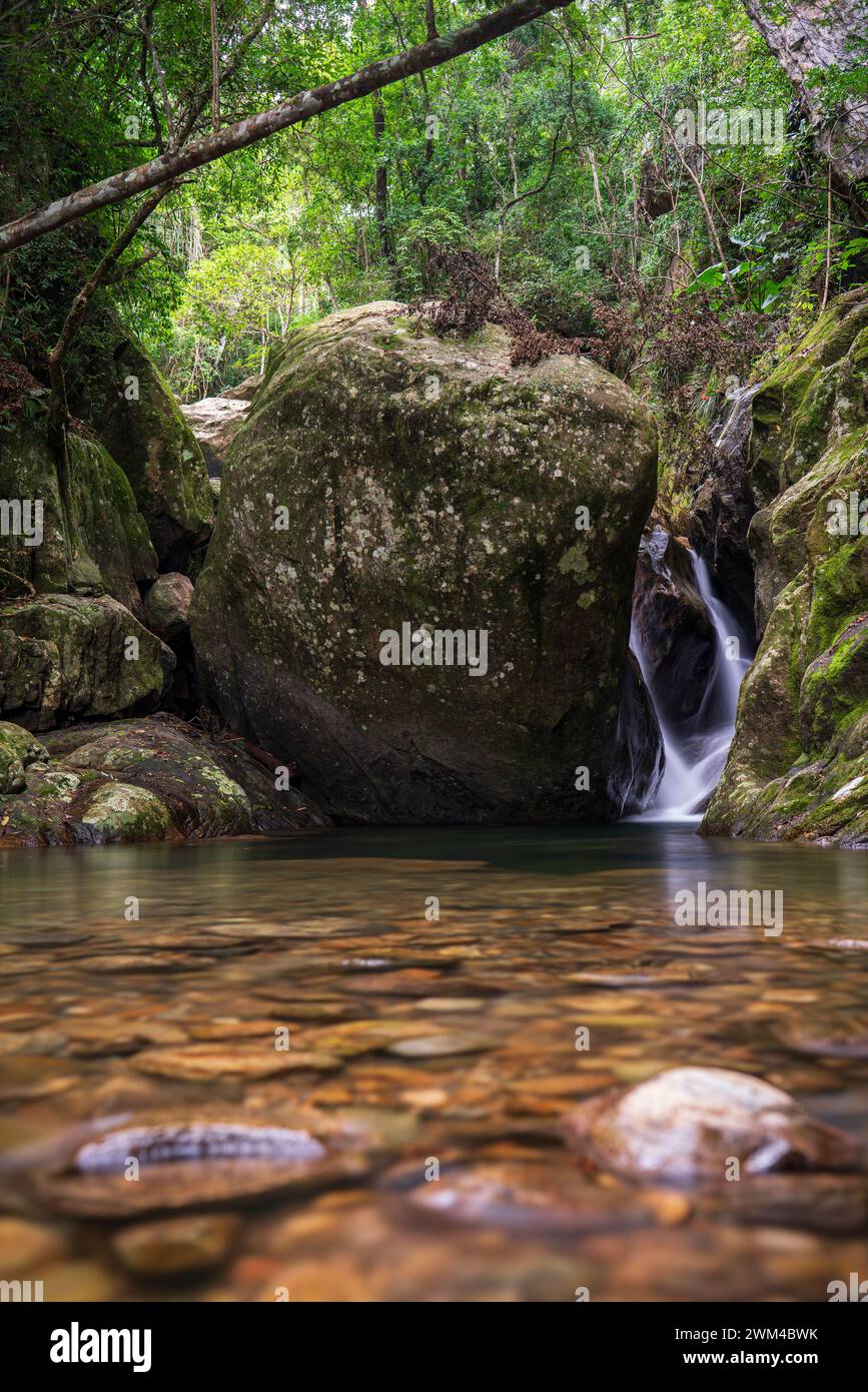 Escena de la selva tropical hi-res stock photography and images - Alamy
