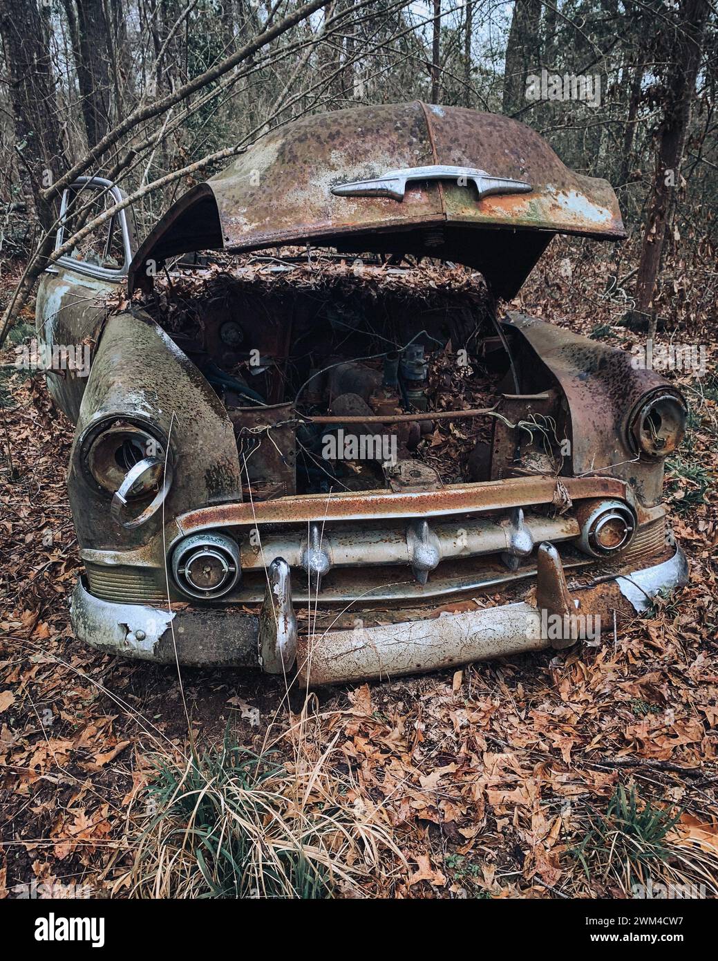 Vintage car decay hi-res stock photography and images - Alamy