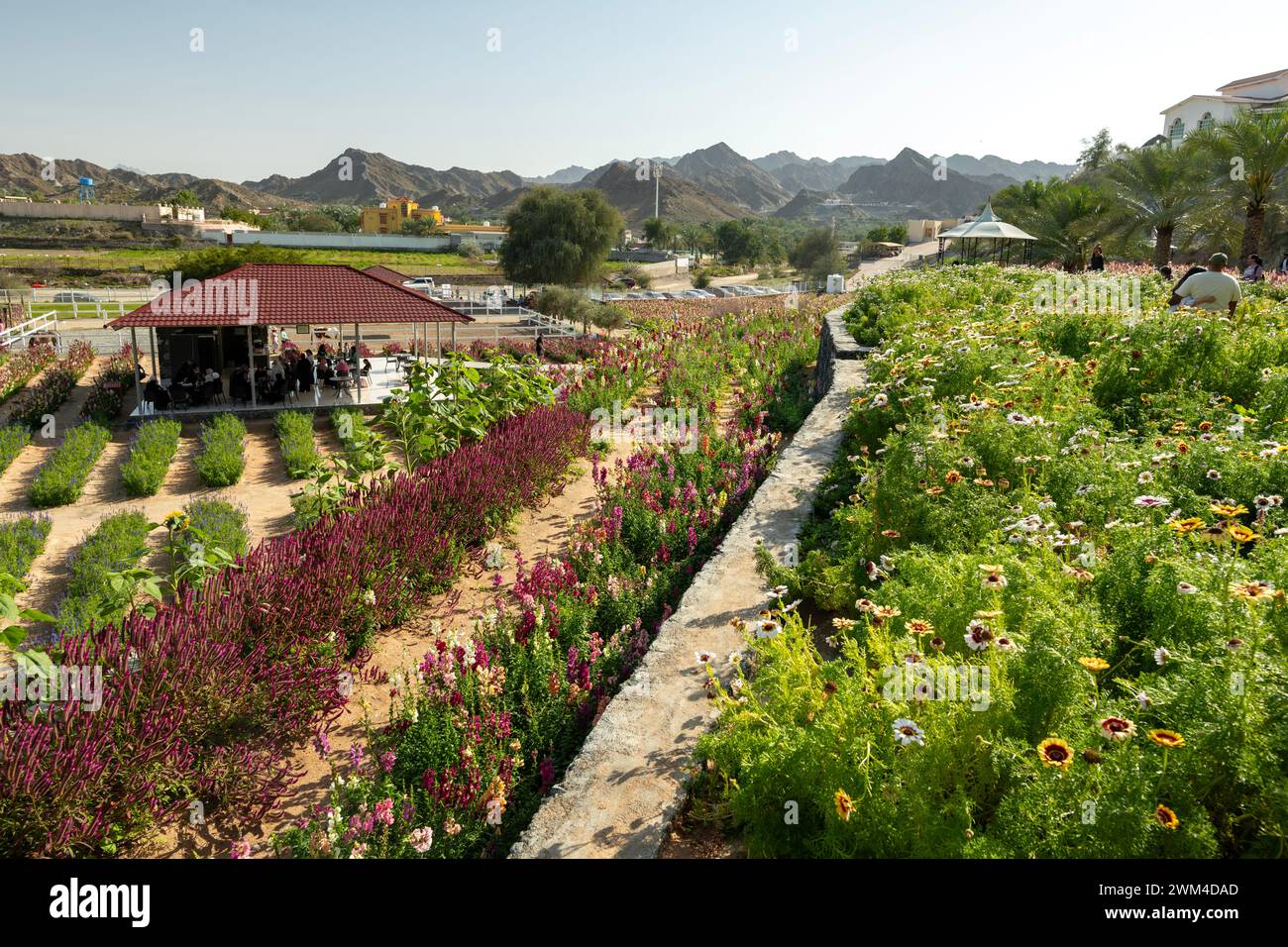 Beautiful garden scene hi-res stock photography and images - Alamy