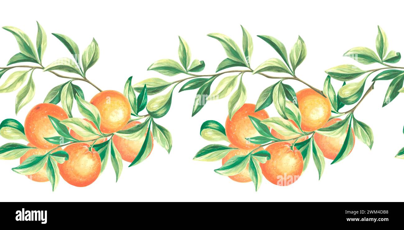 Seamless border with oranges fruit and leaves. Watercolor hand drawn ...