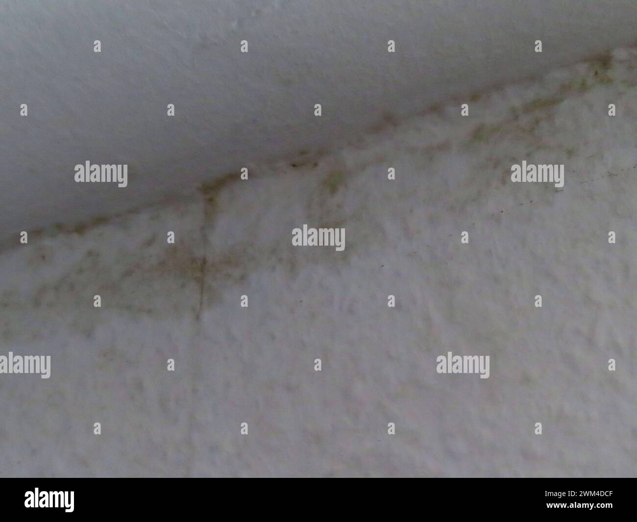 Schimmel room hi-res stock photography and images - Alamy