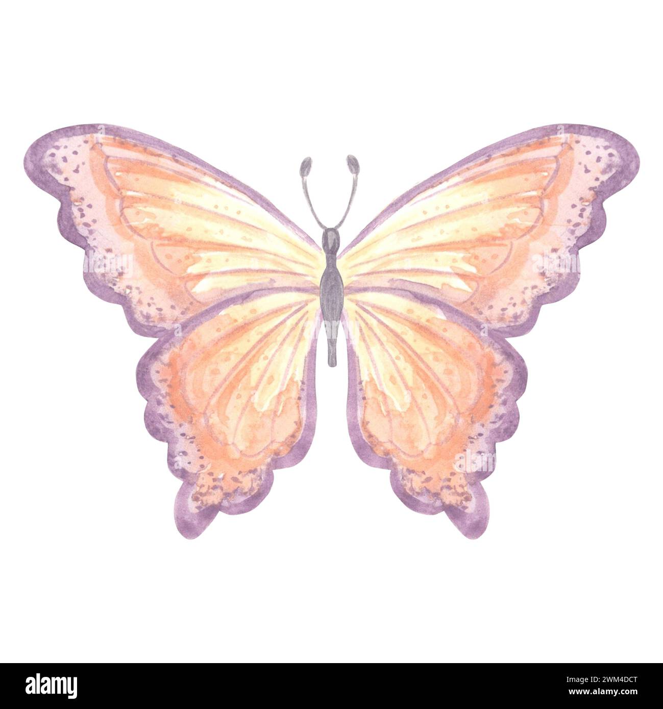 Watercolor flying butterfly delicate peach fuzz color. Isolated hand ...