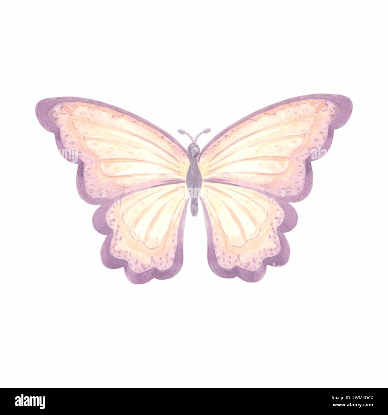 Watercolor flying butterfly delicate peach fuzz color. Isolated hand ...
