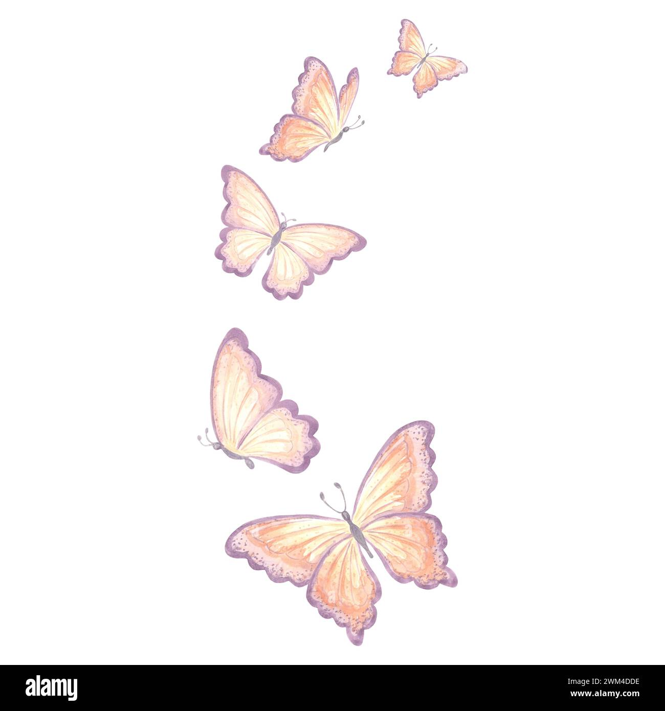 Watercolor flying butterflies delicate peach fuzz color. Isolated hand ...