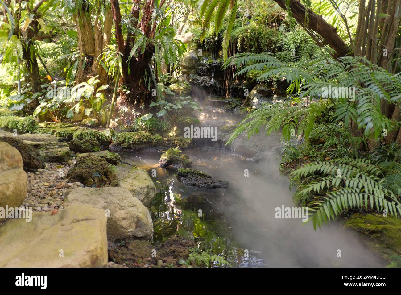 Nice pretty green hi-res stock photography and images - Alamy