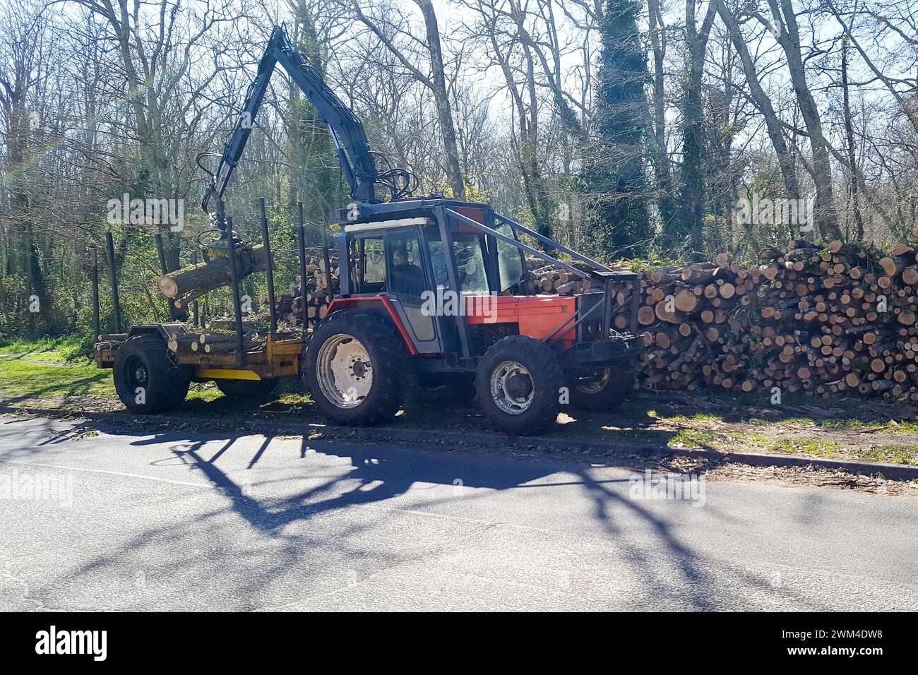 tractor loads a wooden trailer lifting crane loading cut wooden logs ...