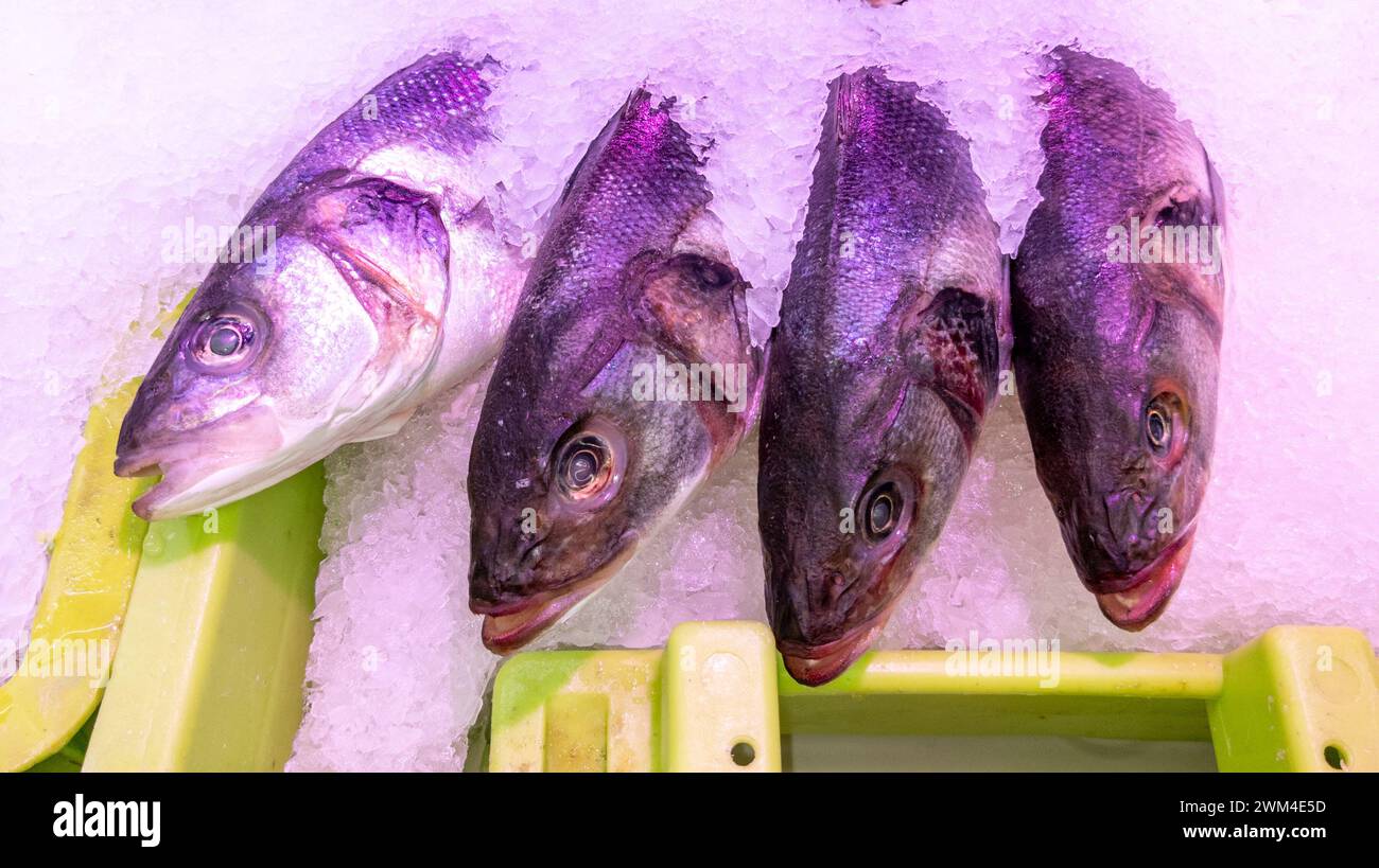 Trout fish Horse mackerel fish on ice display table in a market for ...