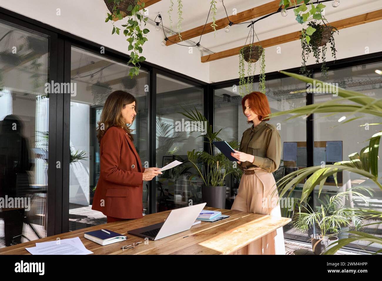 Two happy busy business women talking working in green cozy office ...