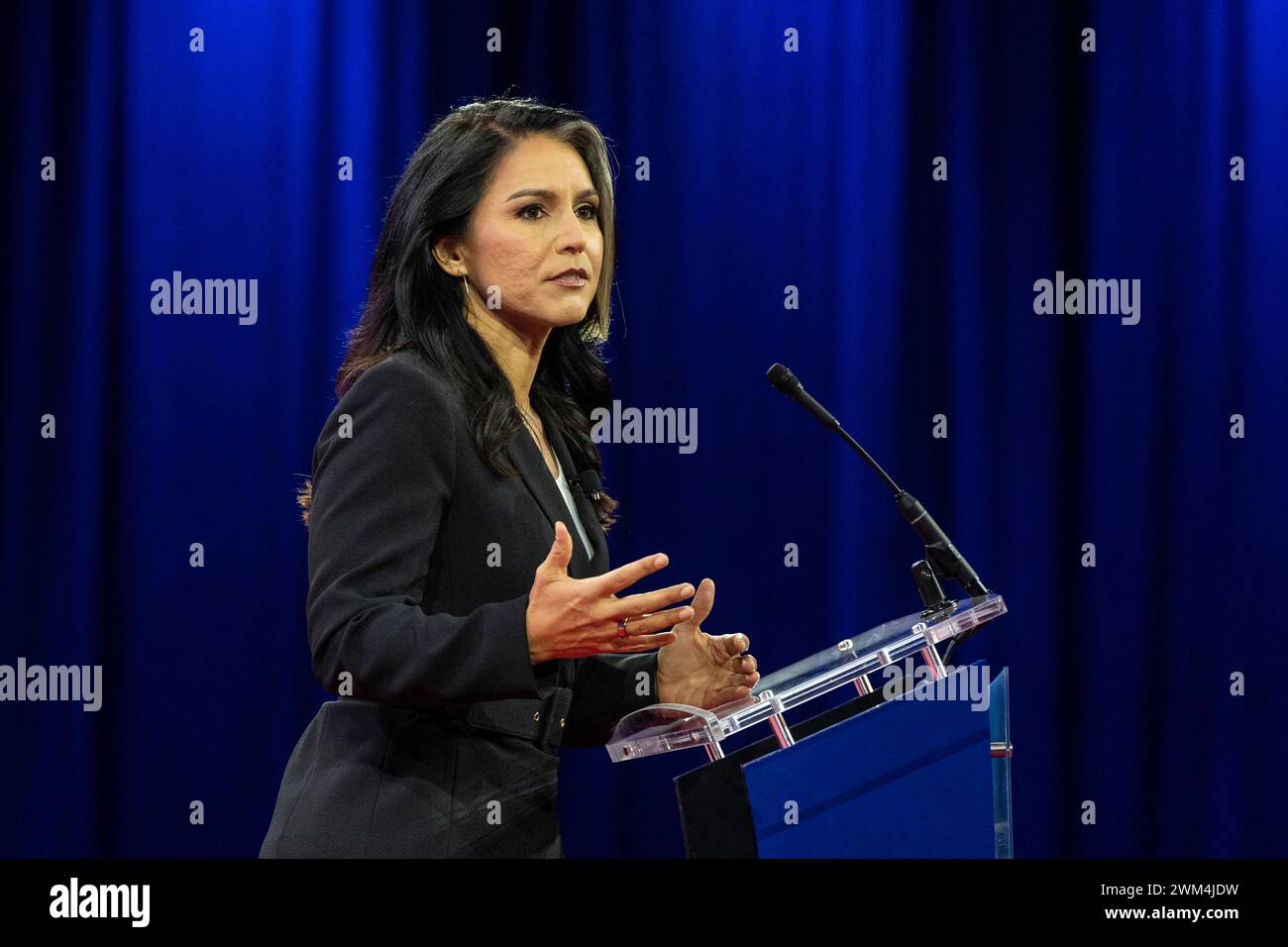 Tulsi gabbard army hi-res stock photography and images - Alamy