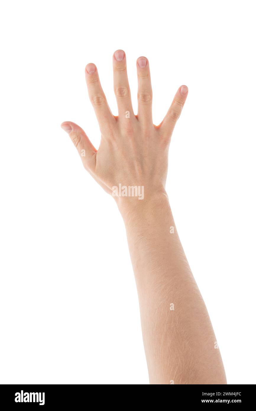 Adult man hand count five isolated on white background, high detailed ...